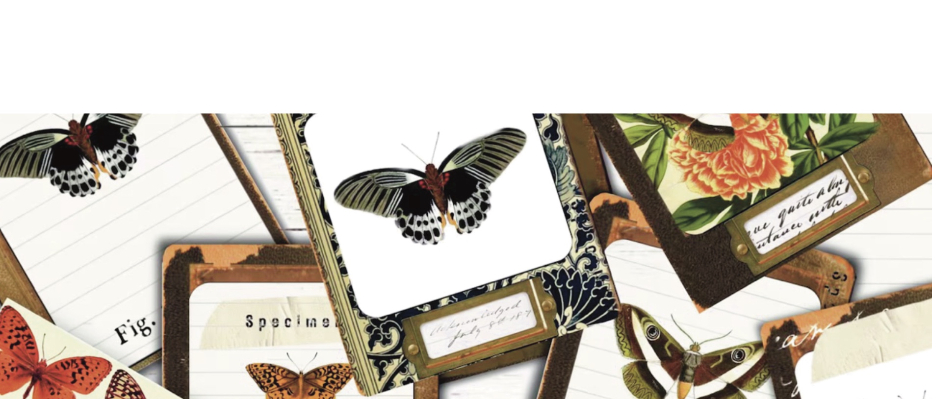 Specimen Slides - Instructions - Well Loved Journals